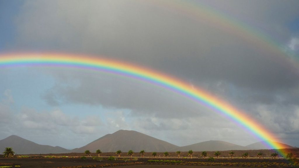 How Are Rainbows Formed? The Science Behind the Colors – Informasi Slot ...